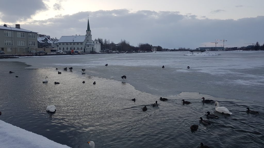 5 Days in Reykjavik in Winter. Iceland Itinerary without a car!