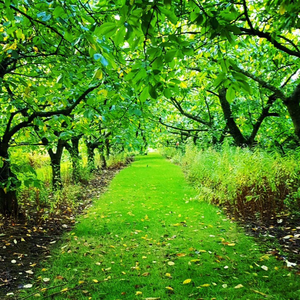 Autumn Bucket List The Best Things To Do In Autumn The Travel Fairies