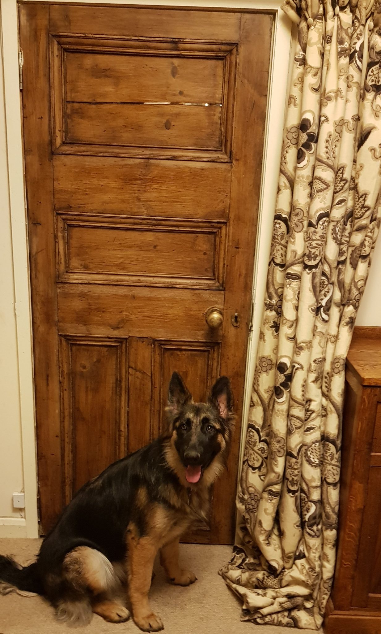 Haunted Hotels and where to find them - The Travel Fairies