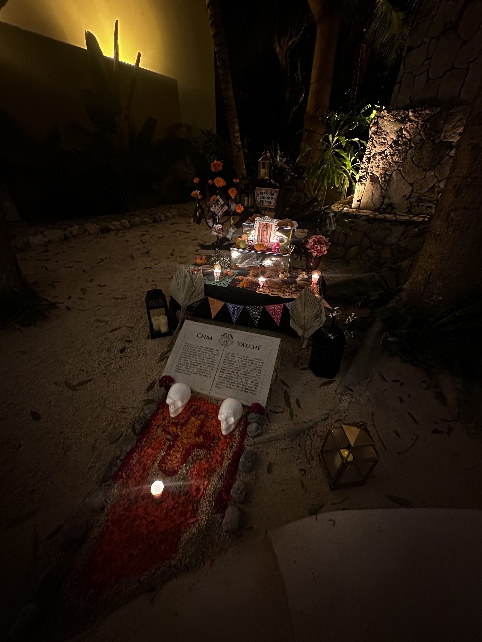 Mexico Mini Blog (Part Four) - The Travel Fairies
